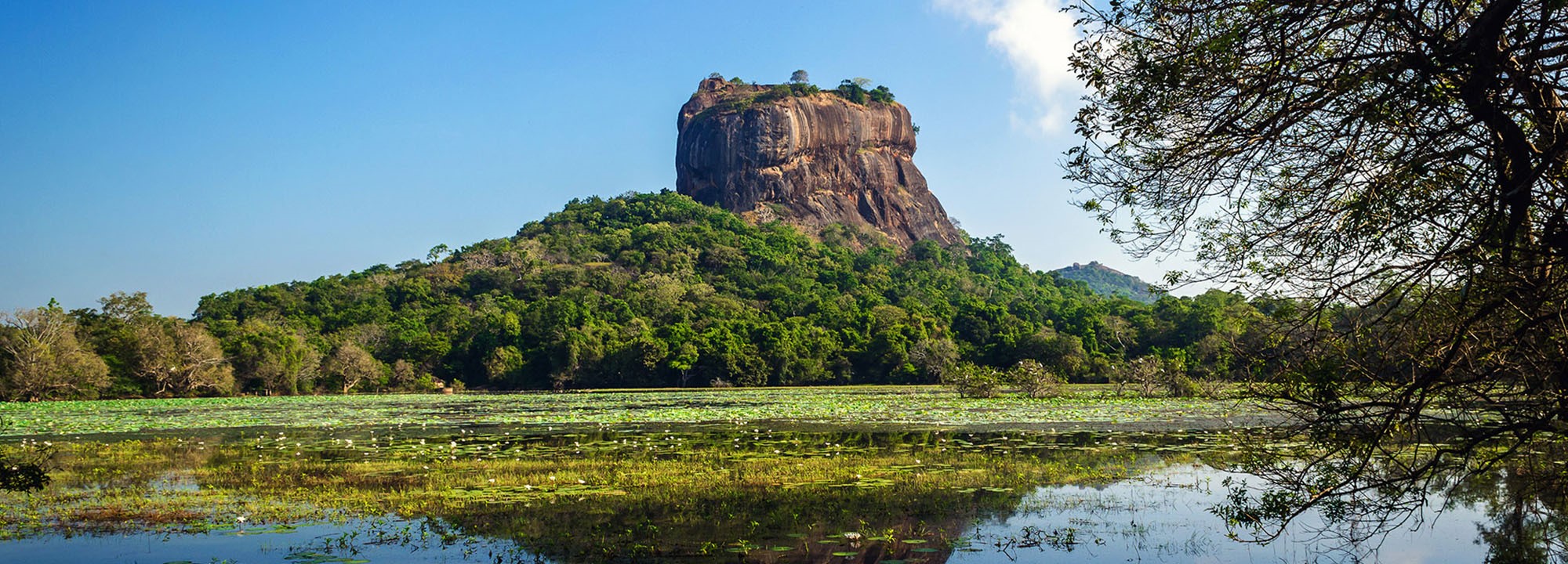 Discover Sri Lanka’s Cultural Triangle - Travelo Express